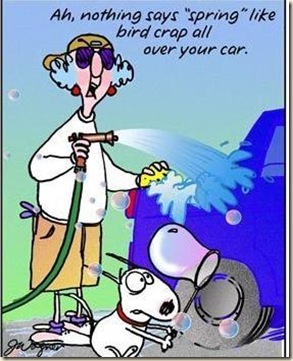 A Hocking Hill's Garden: Friends Across The Miles